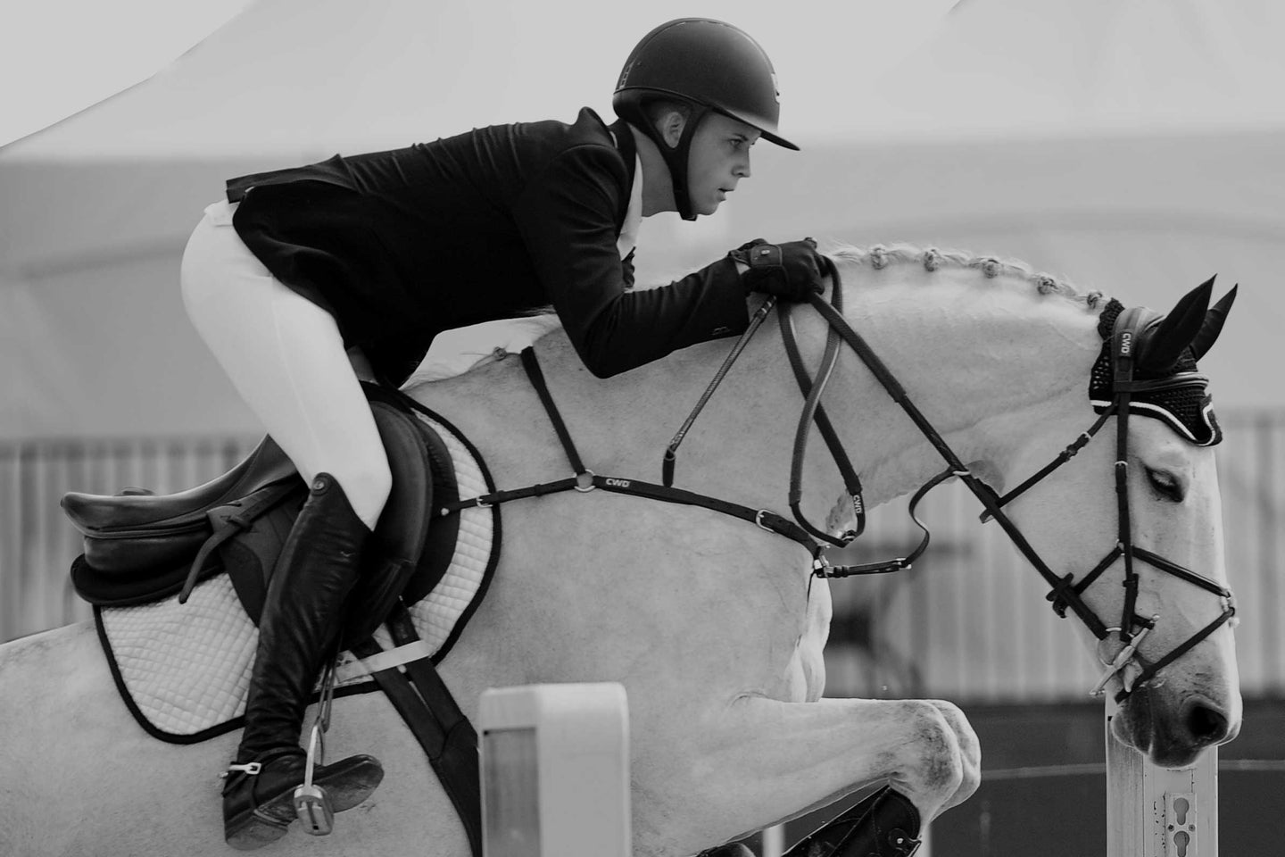 STORY | CHROME HORSE SOCIETY BLANCO TEQUILA